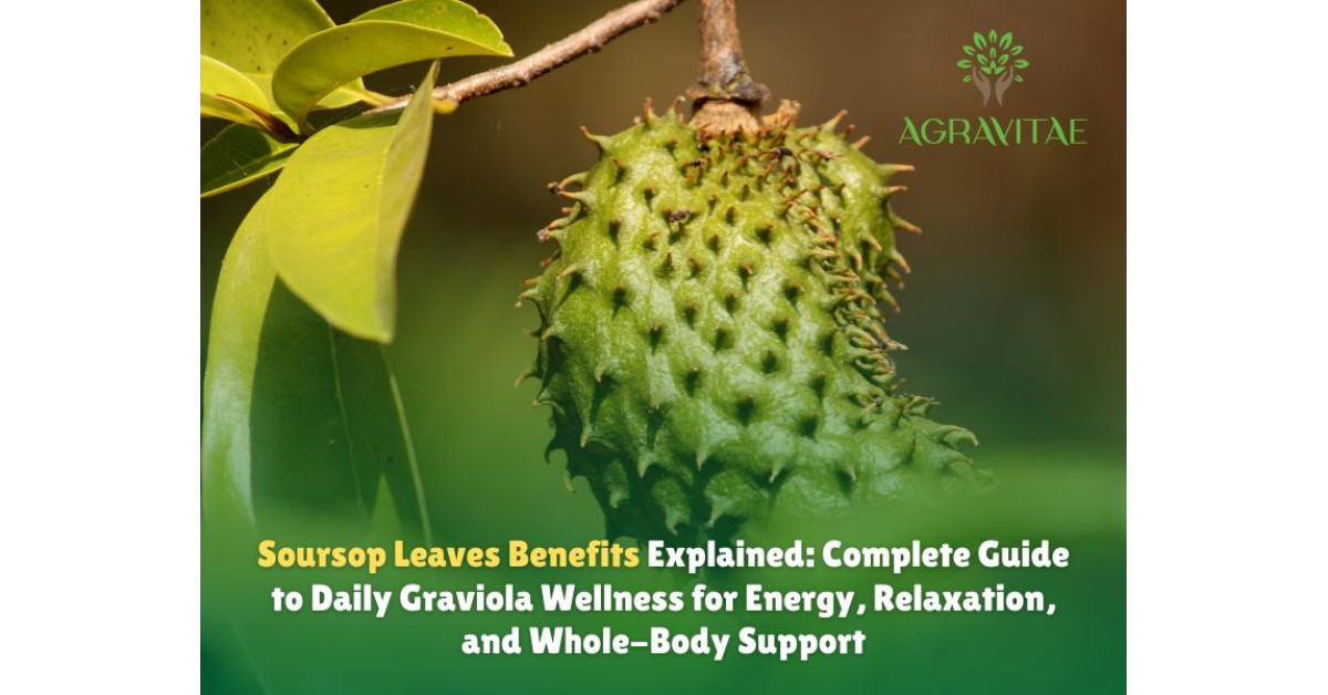 Soursop Leaves Benefits Explained: Complete Guide to Daily Graviola ...
