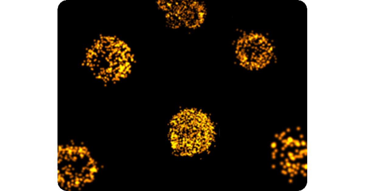 ONI Expands Horizons: Entering the Lipid Nanoparticle Research Market ...