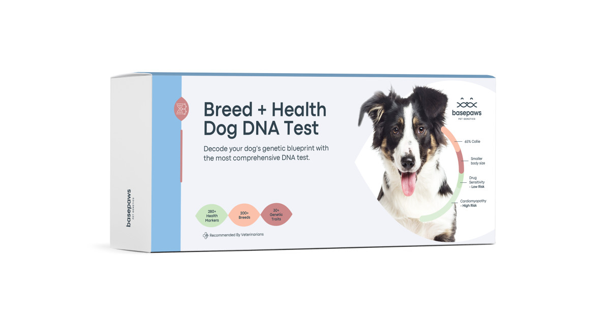 Basepaws Launches the Most Extensive DNA Test for Dogs, Focused on ...