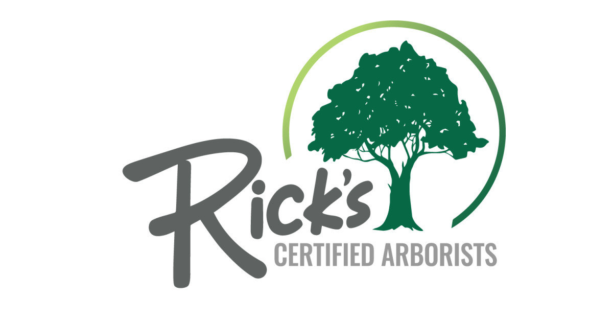 Rick's Certified Arborists Featured in February 2026 Issue of Tree Care ...