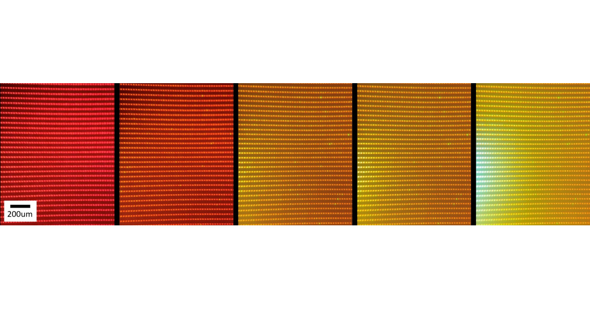 Q-Pixel Inc. Launches Its Breakthrough Q-Transfer Technology | Newswire