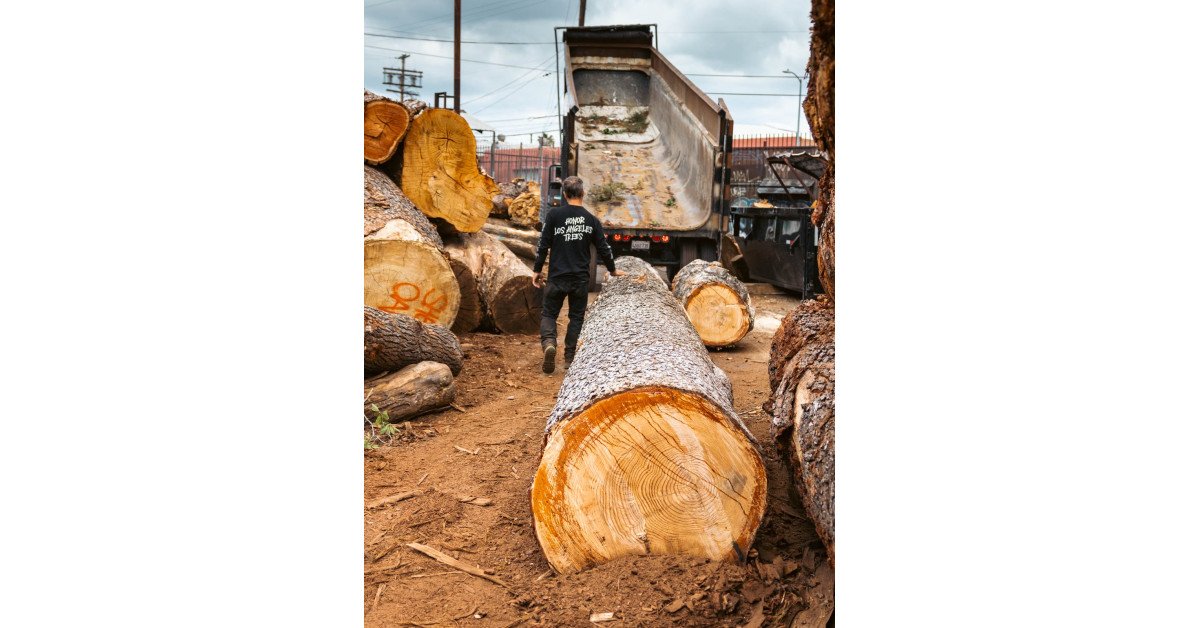 Angel City Lumber Partners With the U.S. Forest Service to Re-Localize ...