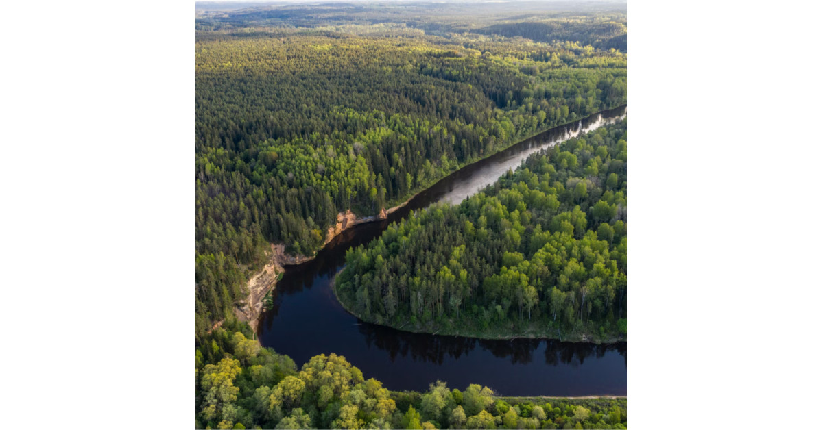 Anew Climate Delivers Forest Carbon Removal Credits to Microsoft | Newswire