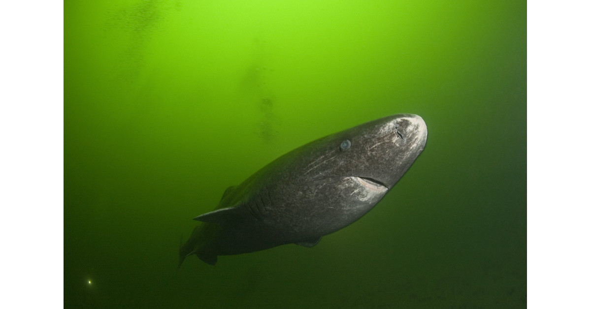 Matter Bio Announces Landmark Collaboration to Decode Exceptional ...