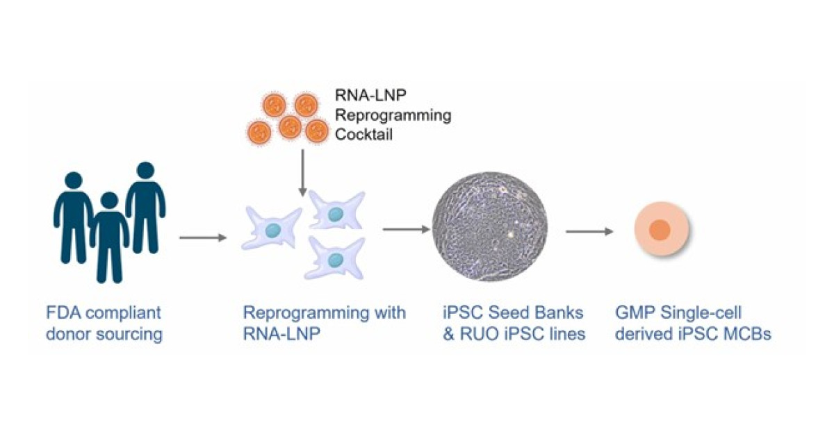 uBriGene Launches Clinical iPSC Banks to Accelerate Regenerative ...