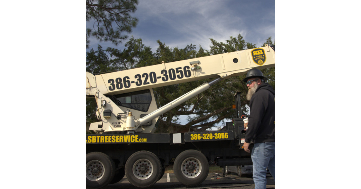 Stay Storm-Ready With SB Tree Service: Your Trusted Neighbor for ...