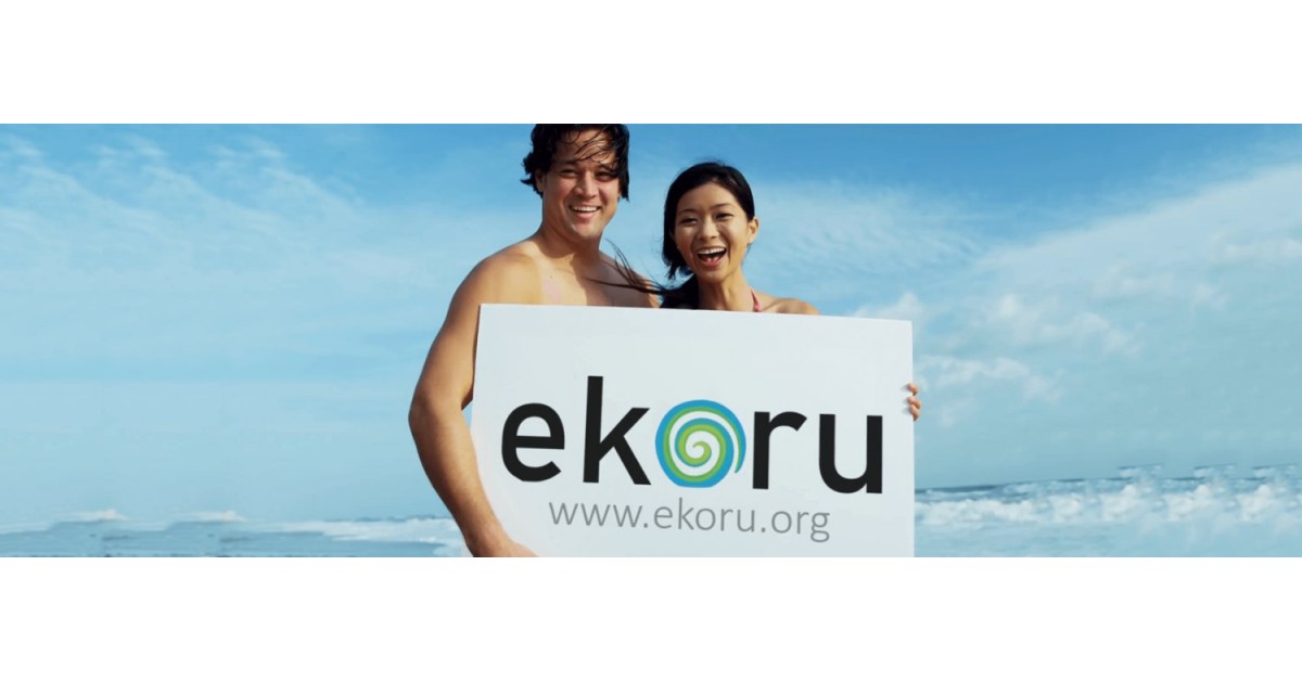 Ekoru, a Search Engine That Lets Users Clean and Reforest Oceans With ...