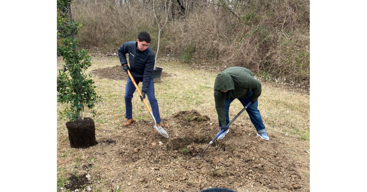 American Forests and Salesforce Provide New Trees for Dallas Parks ...