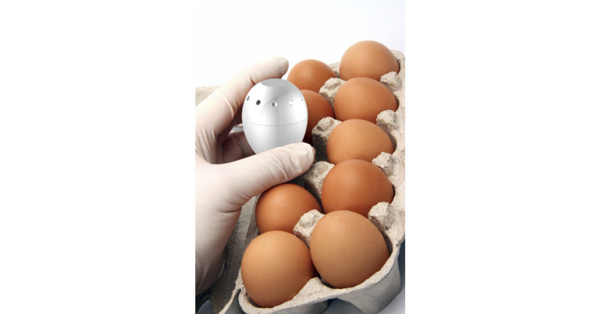 Revolutionize Egg Monitoring With EggTemp and EggTemp-RH Data Loggers ...