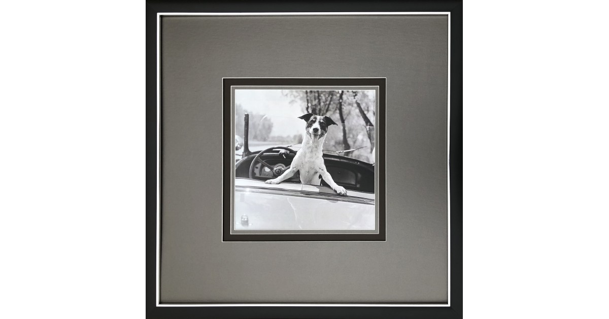 Crescent Cardboard Launches Four New Products in 2020 | Newswire