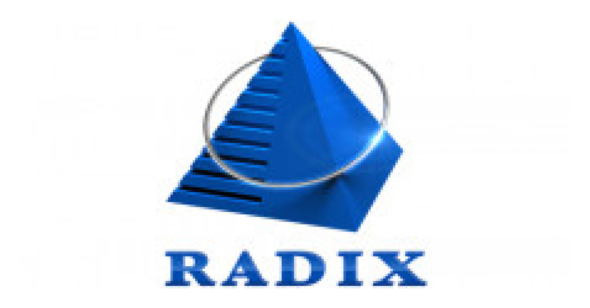 Radixweb Steers Continued Innovation for 21 Years | Newswire