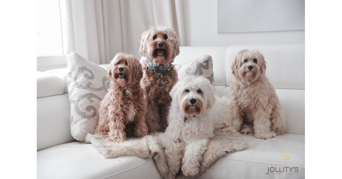 Protect Our Pets: Support Legal Dog Breeding by Objecting to CA ...