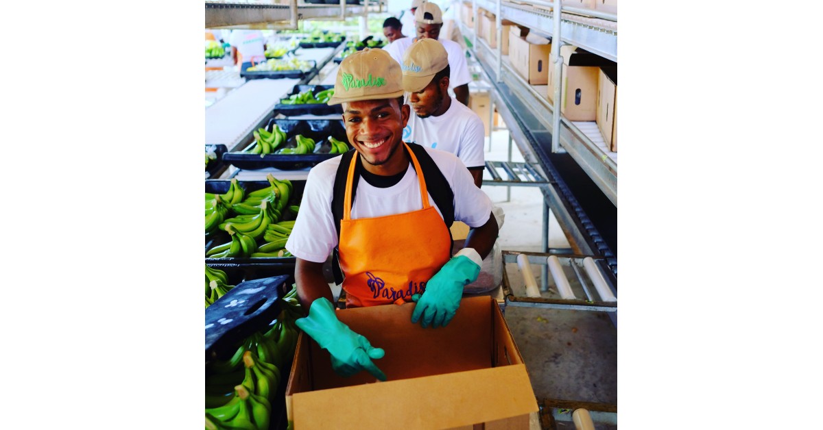 Chestnut Hill Farms Launches Partnership to Provide Organic Fair-Trade ...