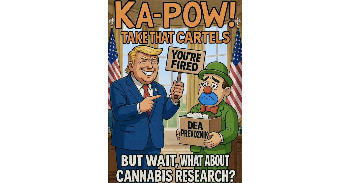 DEA Crushes Illegal Marijuana - But Still Blocks MMJ's Legal Cannabis ...