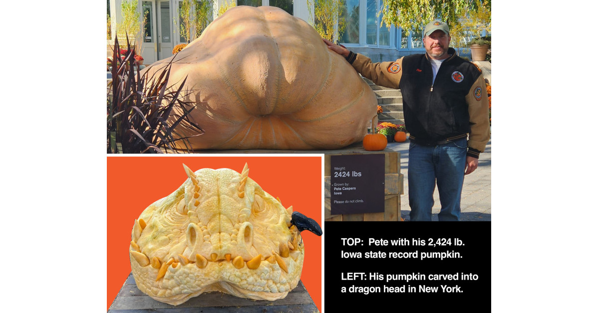 It’s a Great Pumpkin, Mr. Caspers | Newswire