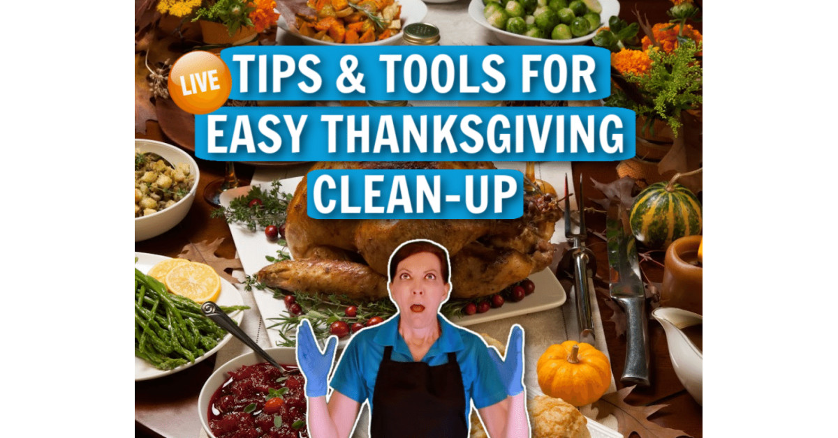 Savvy Cleaner CEO Angela Brown Teaches New Masterclass on Easy ...