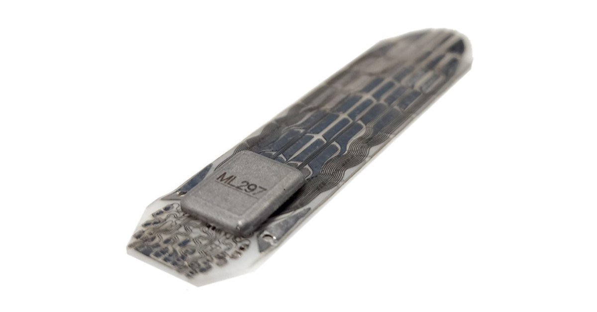 First Computer Chip in Spine Offers Hope, Opens Door for Injectable ...