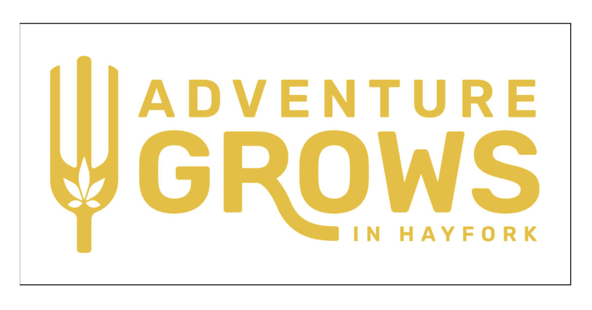 Hayfork, California Launches World's First Cannabis-Forward Destination ...