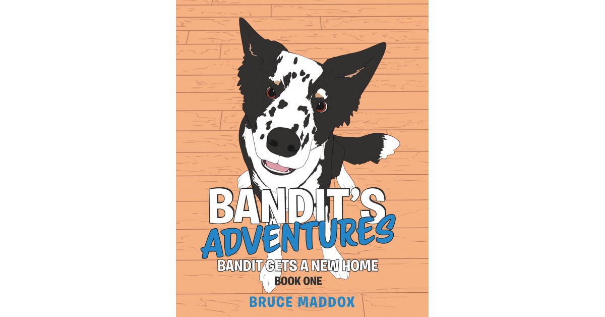 Author Bruce Maddox's New Book 'Bandit Gets a New Home' is the Cheerful ...
