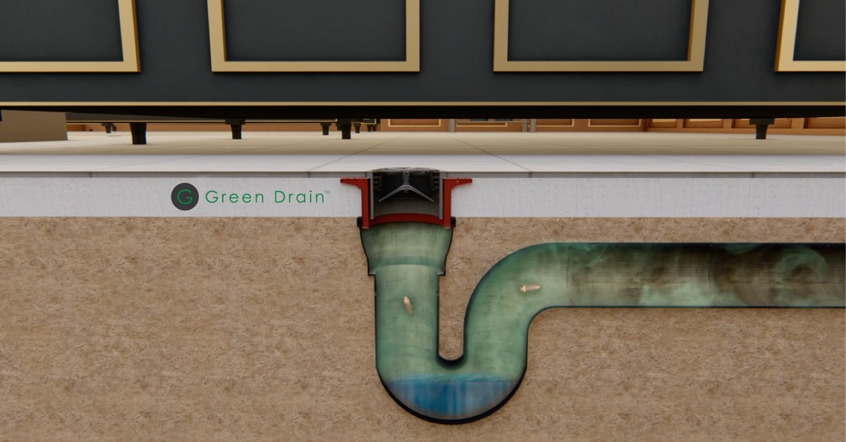 Green Drain™ Helping Restaurants, Bars and Food Processing Facilities ...