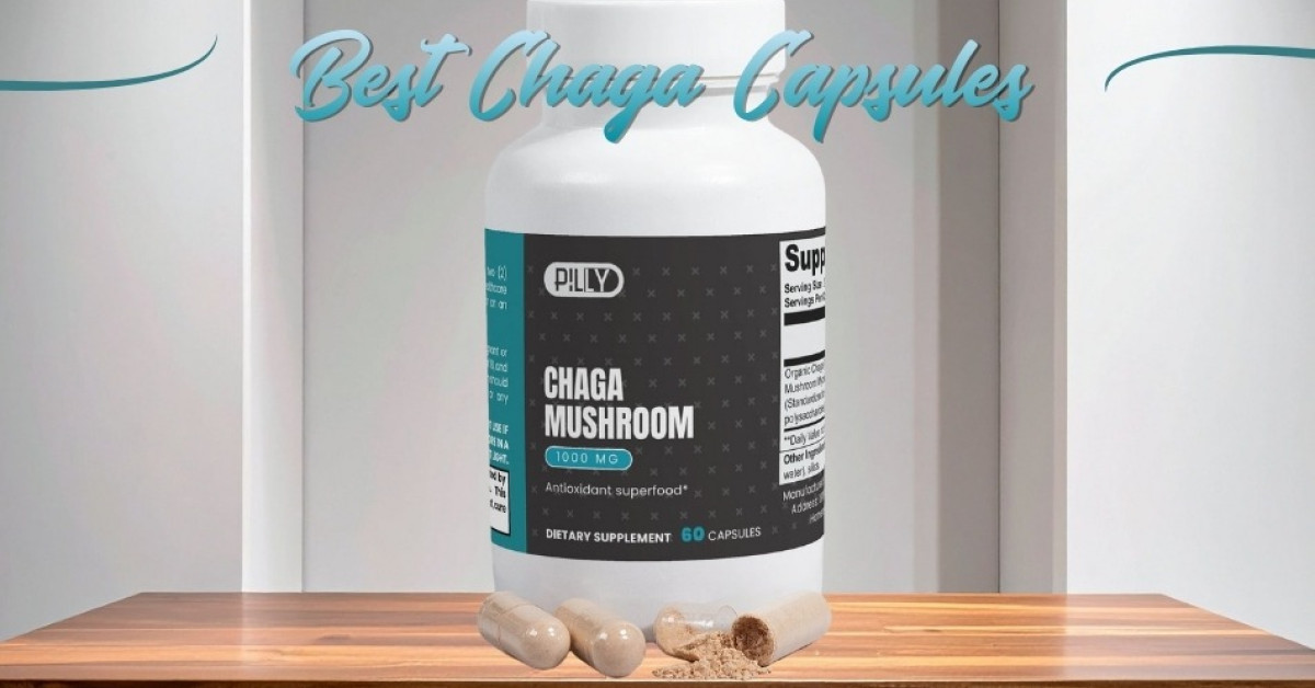 Best Chaga Mushroom Buying Guide: Evidence-Informed Analysis Examines ...