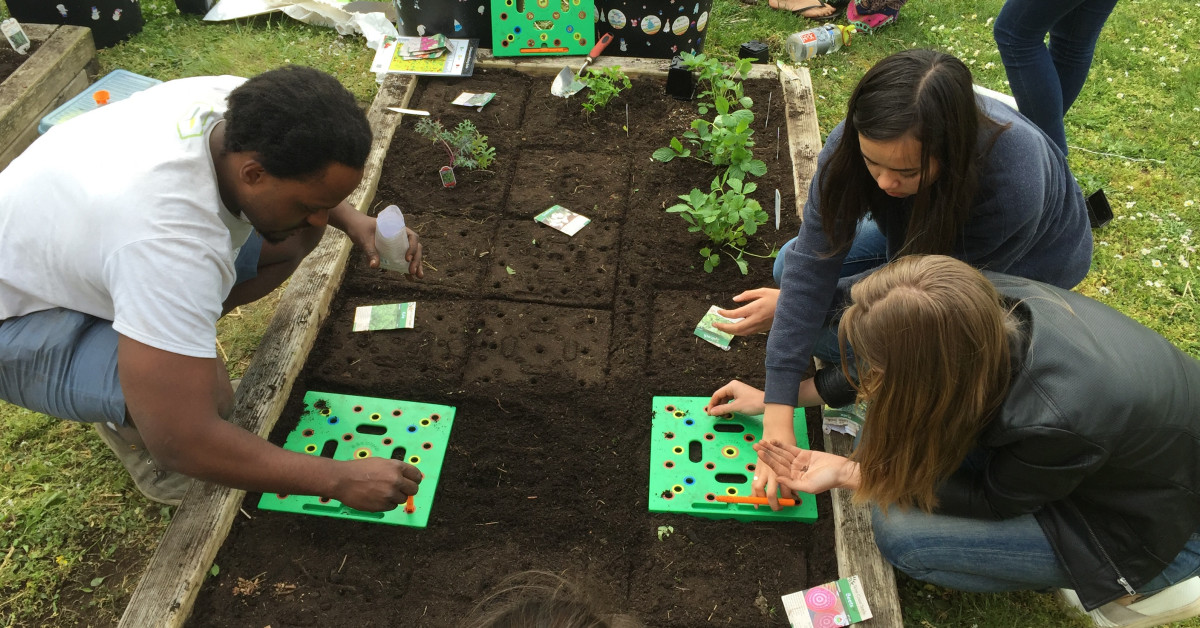 As Grocery Costs Rise, Seeding Square’s High-Density Gardening Tool is ...