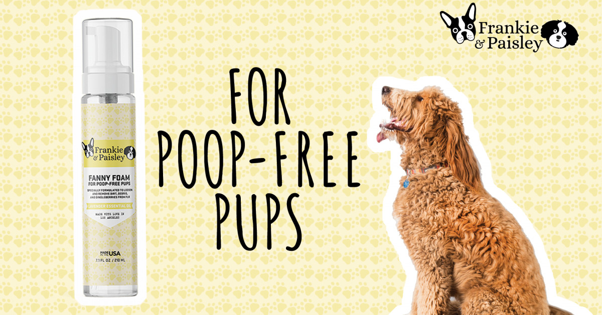 A New Solution to the Age-Old Problem of Dingleberries on Dogs | Newswire