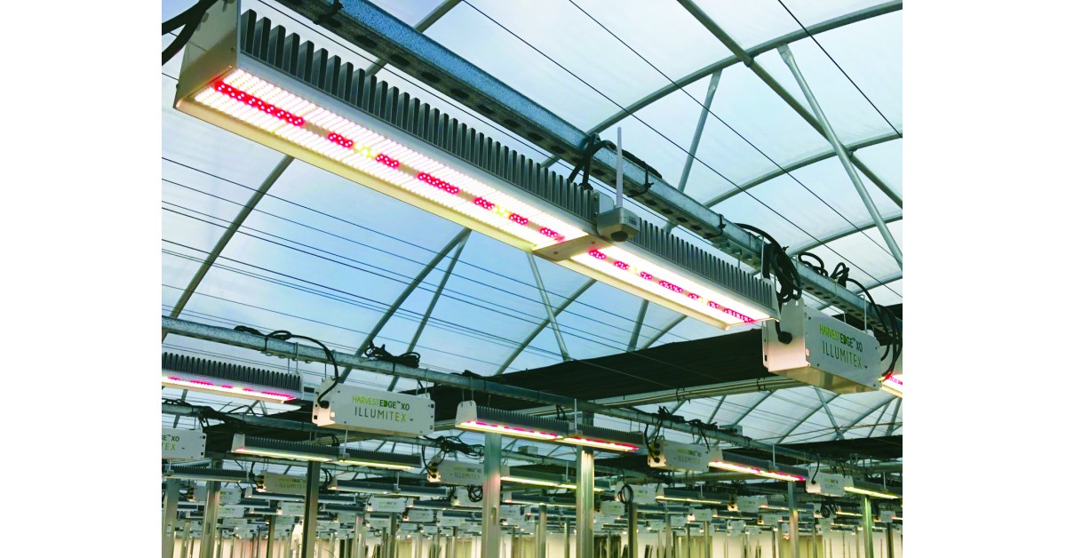 Illumitex Expands FarmVisionAI™ Platform to Support Widest Range of CEA ...
