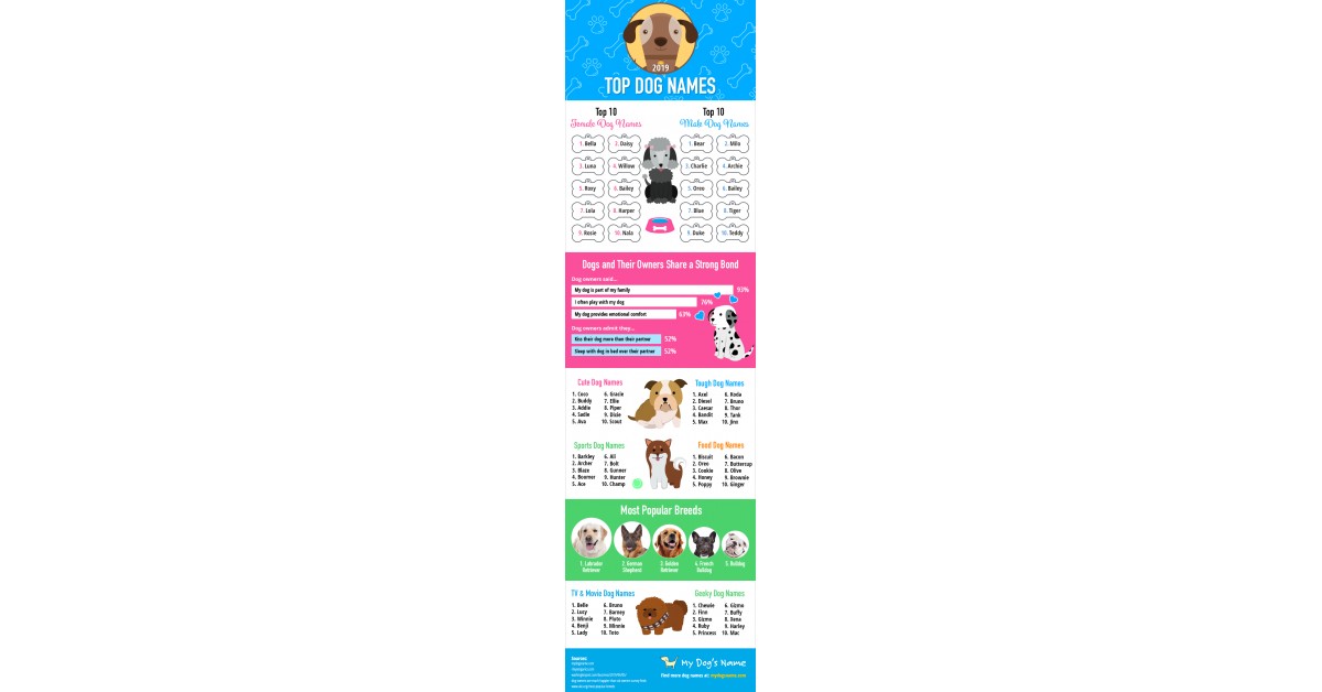 Bella is the Top Dog Name of the Decade | Newswire
