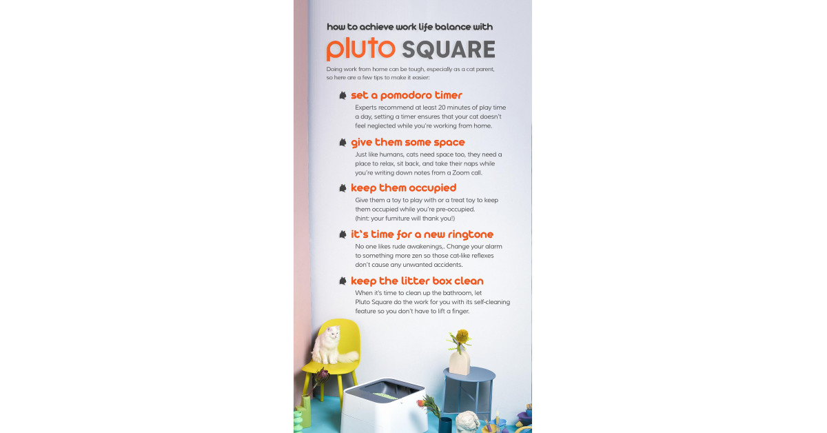 Achieve Work-Life Balance as Cat Parent With Pluto Square | Newswire