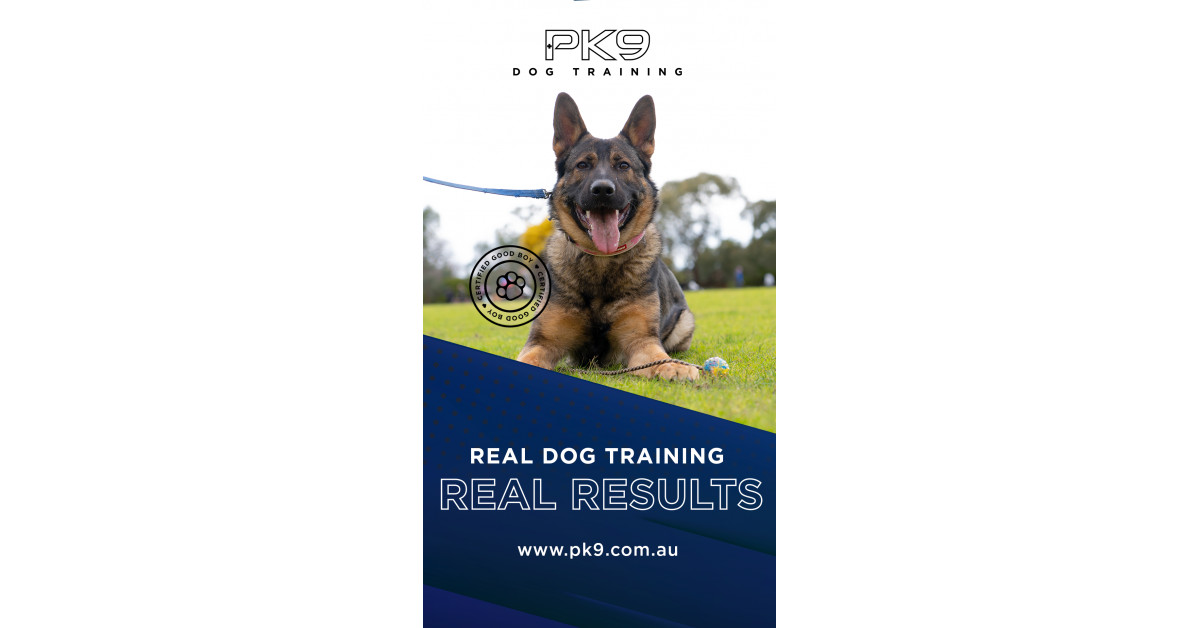Positive K9 Training Launches VIP Dog Training for Personalised Canine ...