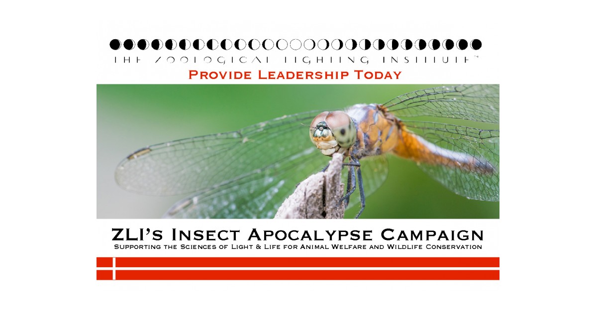 Light Pollution is Driving the Insect Apocalypse: A New Study and ...