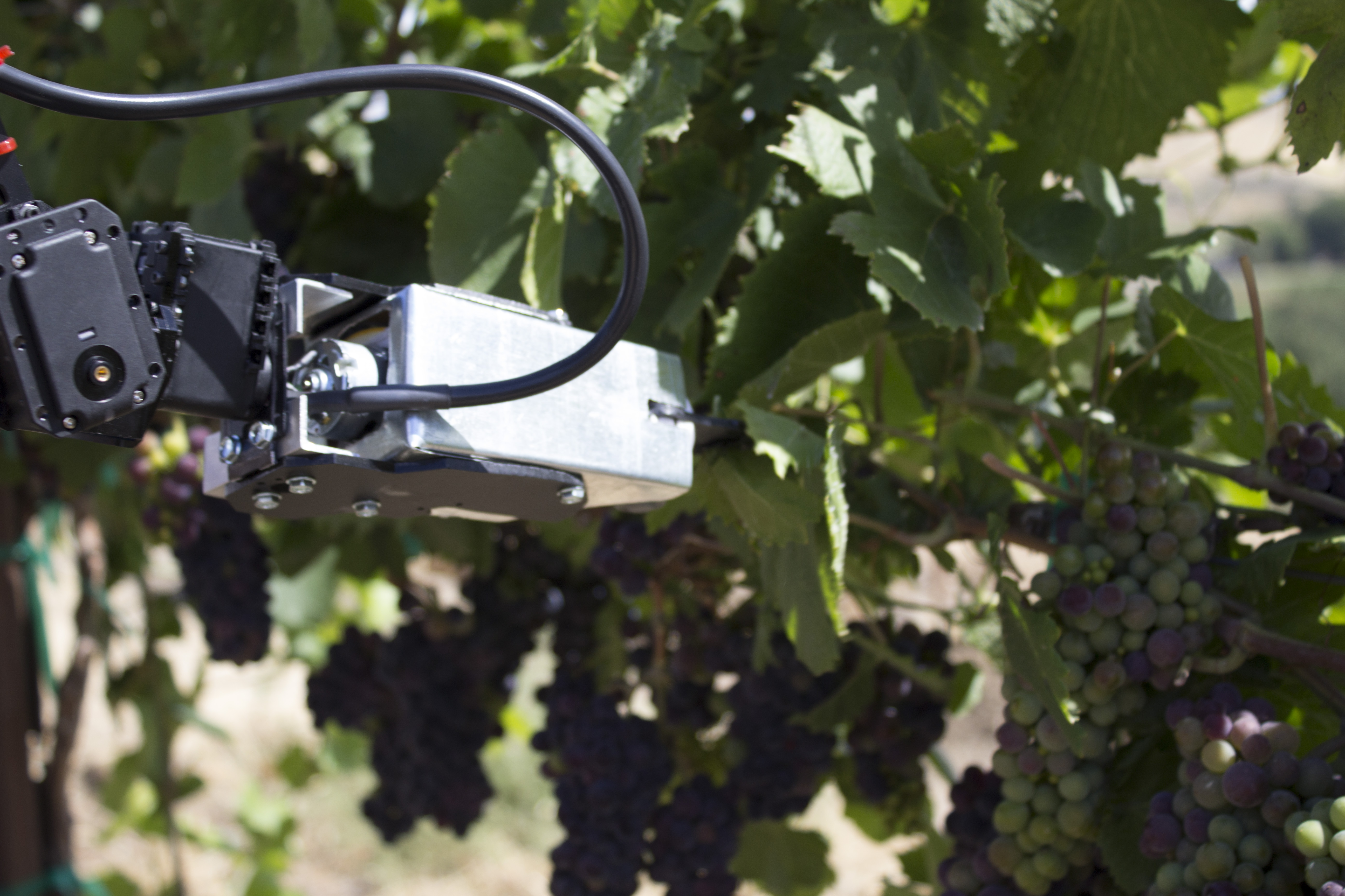 Vineyard Robot Prototype to Debut at FutureFarm Expo in Oregon | Newswire