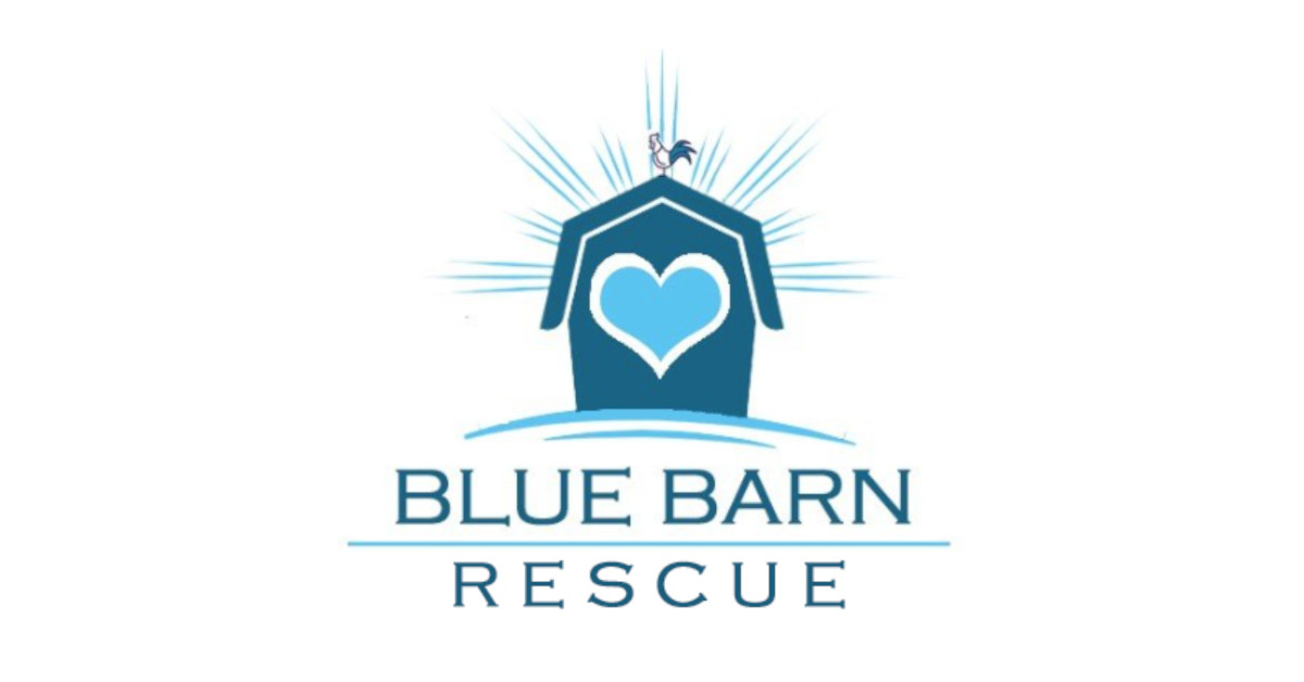 Blue Barn Unveils Awareness Initiative | Newswire