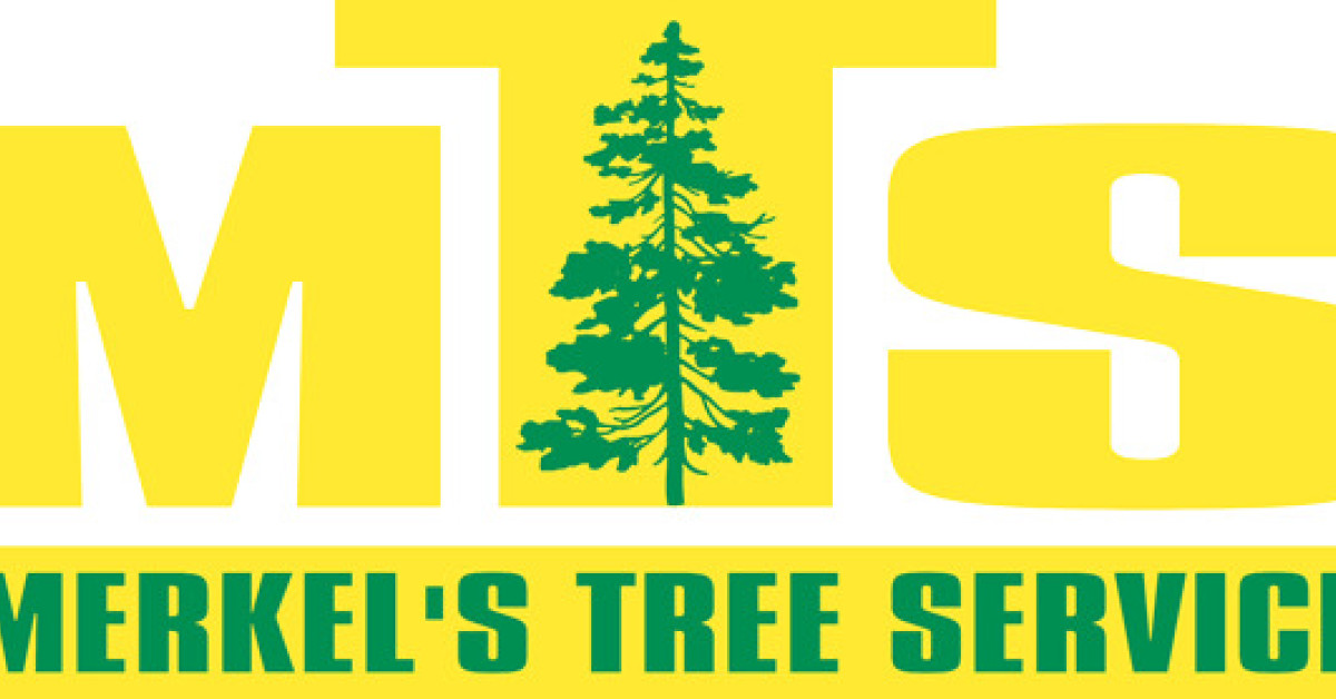 Merkel's Tree Service Celebrates Five Years of Excellence, Safety, and ...