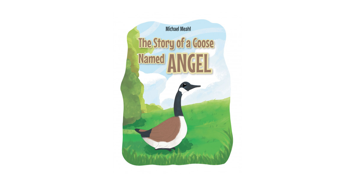 Michael Meahl's new book, 'The Story of a Goose Named Angel' is an ...