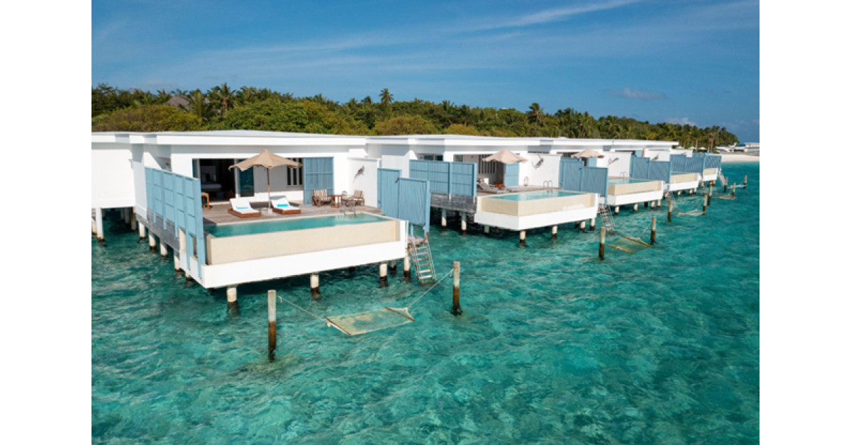 Ownia Collection Shares Key Insights on the Future of Regenerative ...