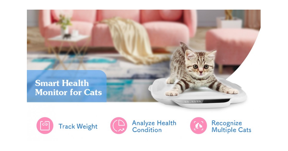 CatLink Announces Launch of WeCare - A Smart 24/7 Health Monitor for ...